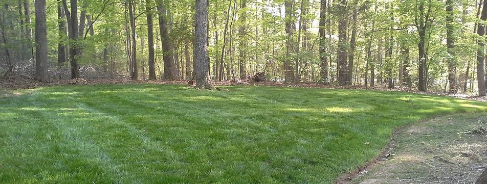 Fowler Landscaping, LLC - Providing Excellence in Landscape ...